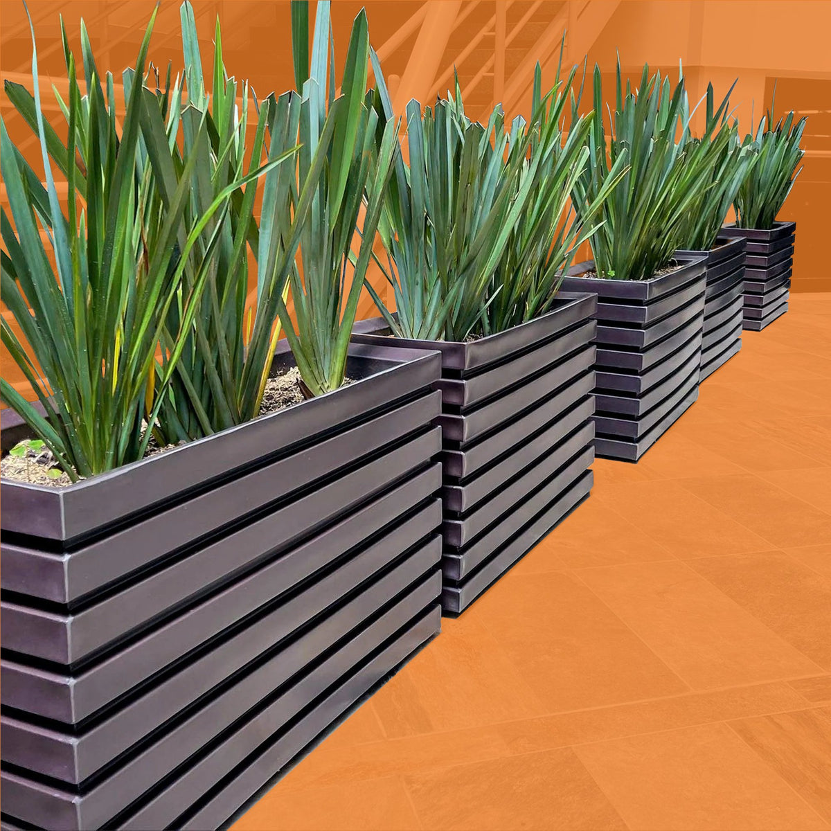 Materas por tamaños — Tumatera.co