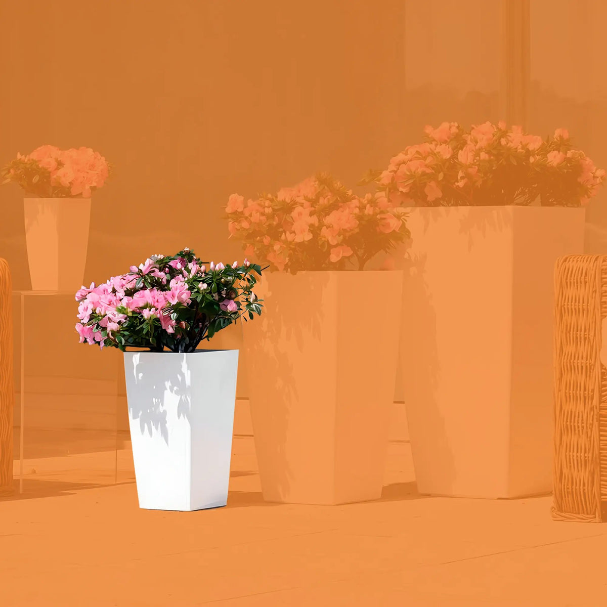 Medium Materas, Know the benefits for your Health - Tumatera — Page 2 ...