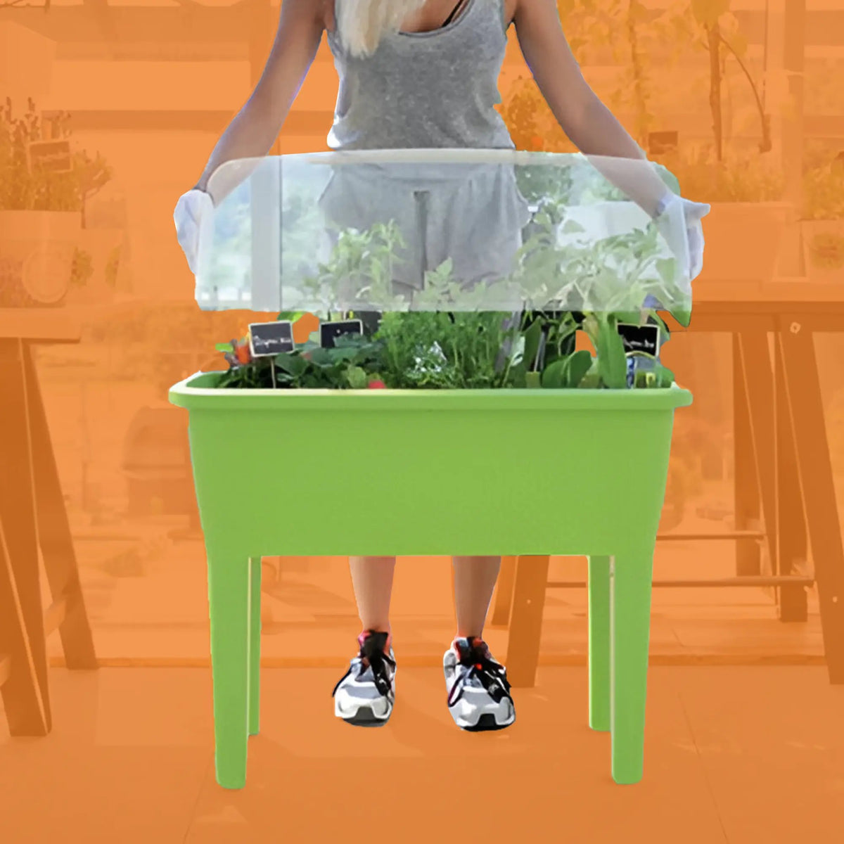 Mini gardens, know their advantages-Tumatera — Tumatera.co