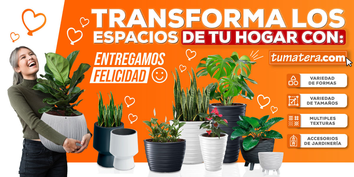 Materas por formas — Página 4 — Tumatera.co